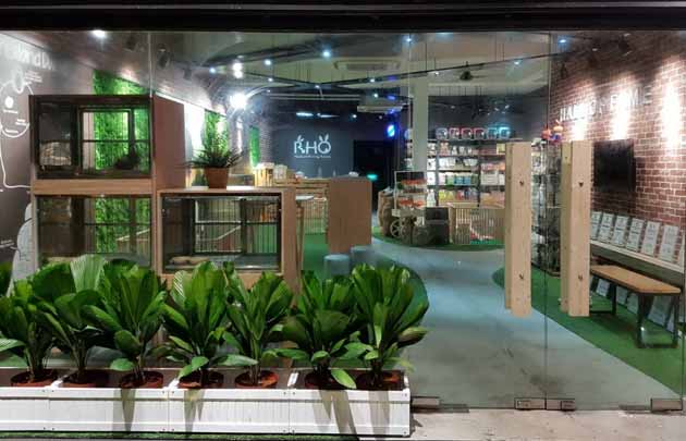 1st Rabbit Showroom in SG | RHQ Rabbitheadquarters – Rabbit Headquarters