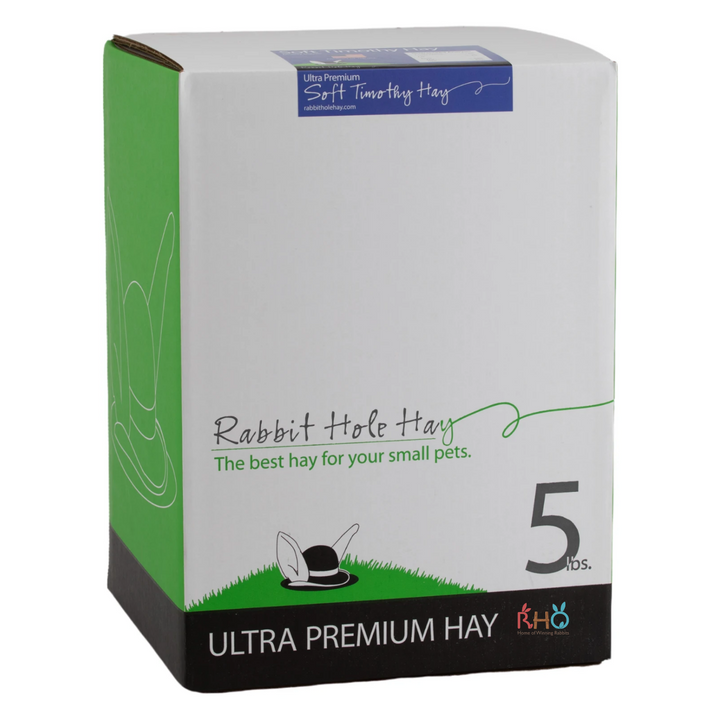 Rabbits – Rabbit Headquarters